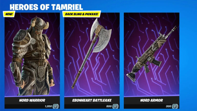 All You Need To Know About Nord Warrior Skin in Fortnite - Giga Screens
