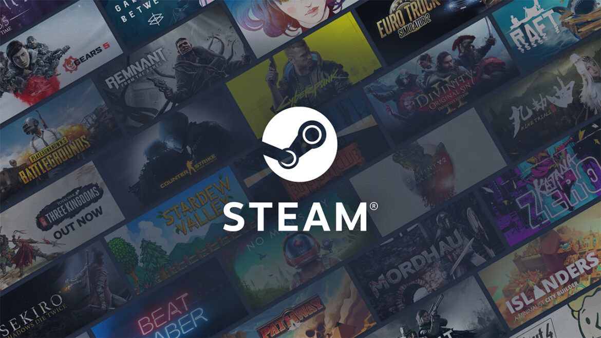 How To Fix Steam Error From Validate Password 2 - Giga Screens